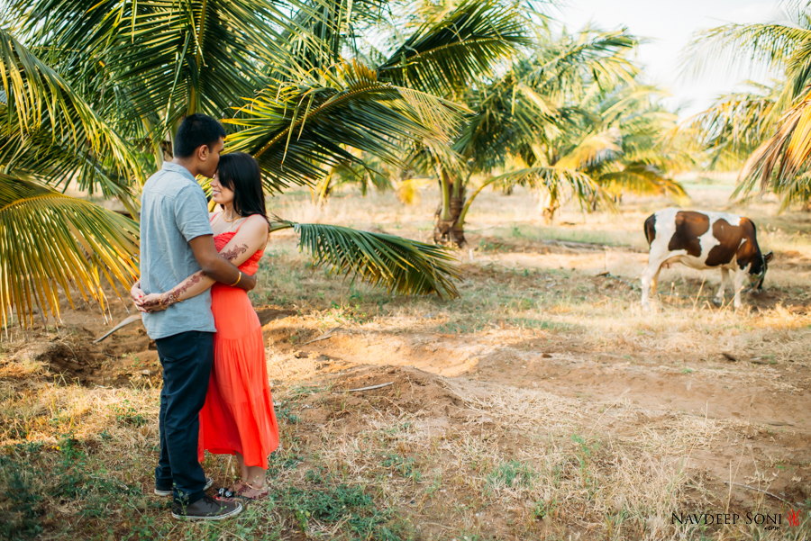 Stylized Outdoor Couple Shoot At A Farm
