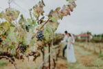 Stylish Sula Vineyard Pre Wedding Shoot At Nashik!